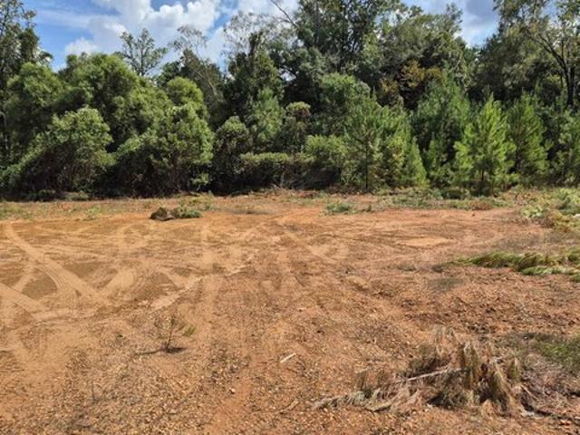 W Front St, Evergreen, AL 36401