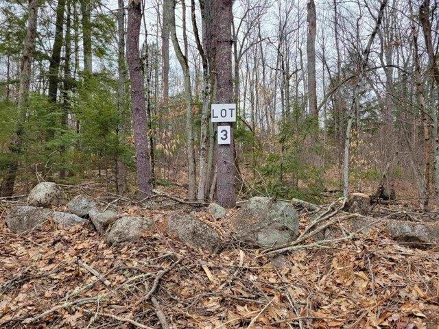 W Fryeburg Rd, Fryeburg, Plot For Sale