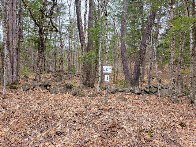W Fryeburg Rd, Fryeburg, Plot For Sale