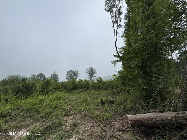 W Gallatin Street, Hazlehurst, MS 39083