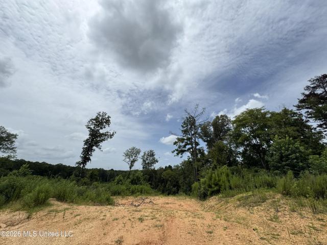 W Gallatin Street, Hazlehurst, MS 39083