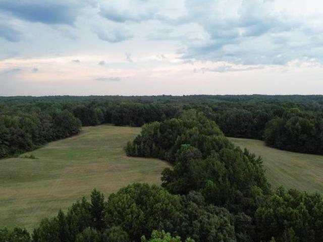 W Highway 100, Whiteville, TN 38075