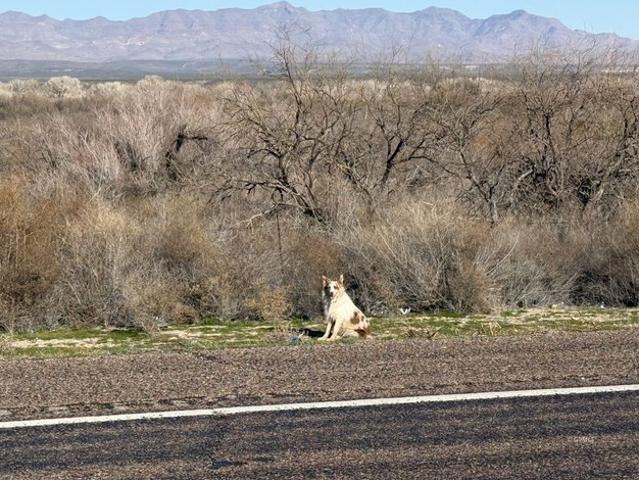 W Highway 70 Lot 001B, Pima, AZ 85543