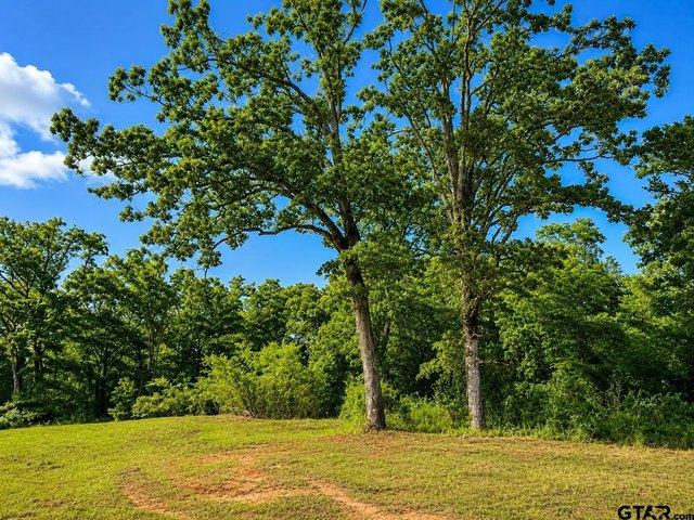 W Highway 80, Mineola, TX 75773