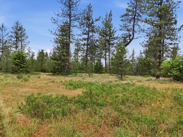W Highland Rd, Nine Mile Falls, WA 99026