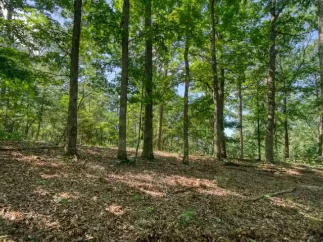 w INDSONG LANE, EUREKA SPRINGS, AR 72631