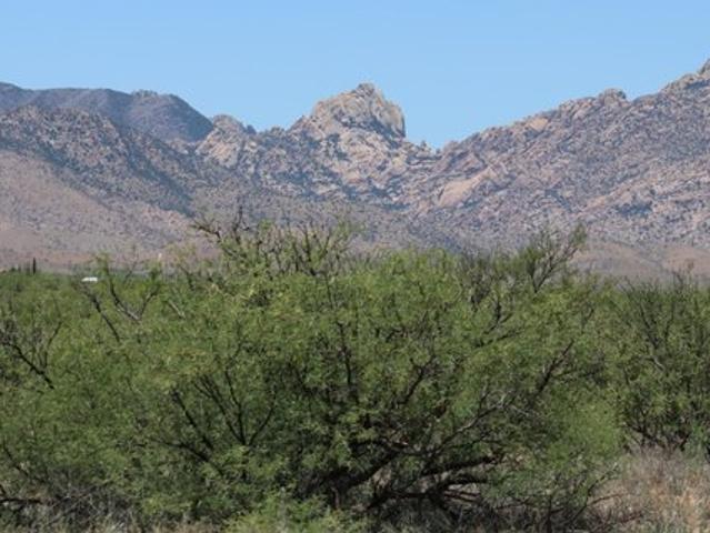W Knox Rd Unit 1, Pearce, AZ 85625