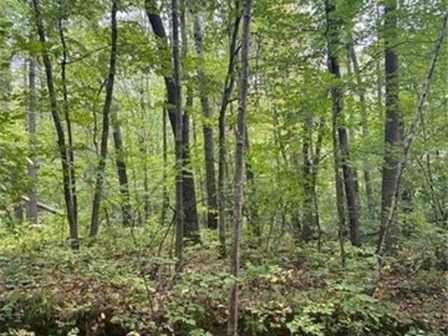 W Lake Camile Dr/Topaz Trl, Randall, MN 56443