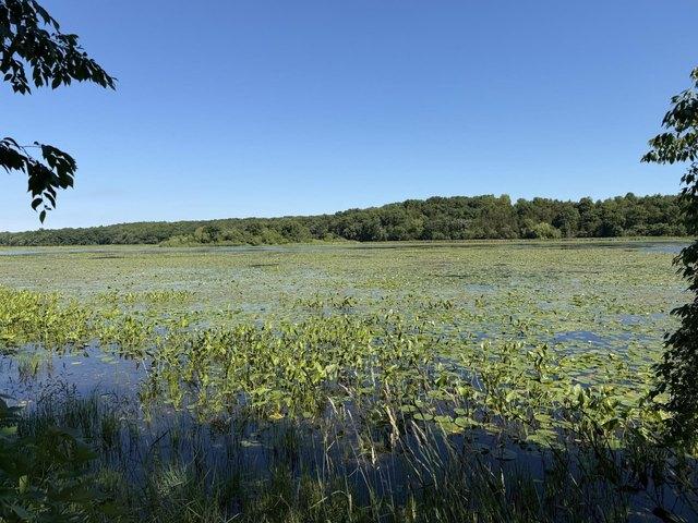 W Lakeshore Dr Lot 47 50, Elkhorn, WI 53121