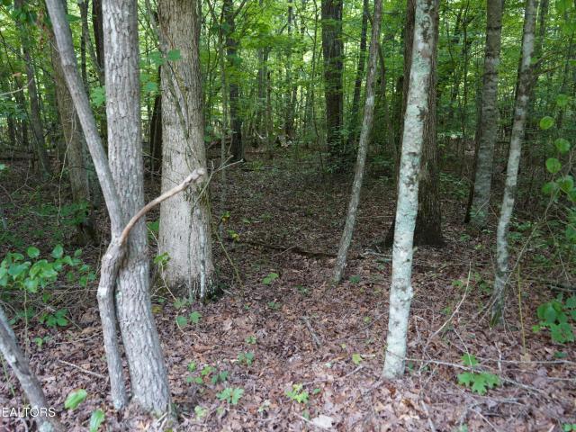 W Laurel Way, Monterey, TN 38574
