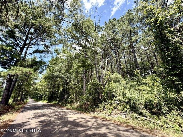 W Lincoln Dr, Smithdale, MS 39664
