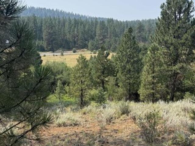 W Pine Dr, New Meadows, ID 83654
