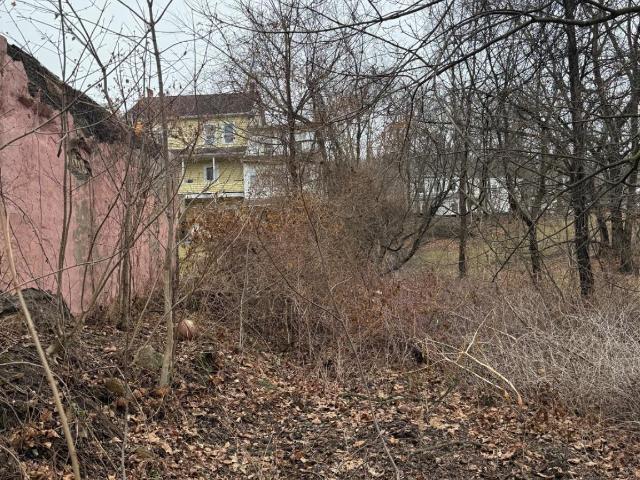 W Pine St, Coal Township, PA 17866 | MLS #PANU2003