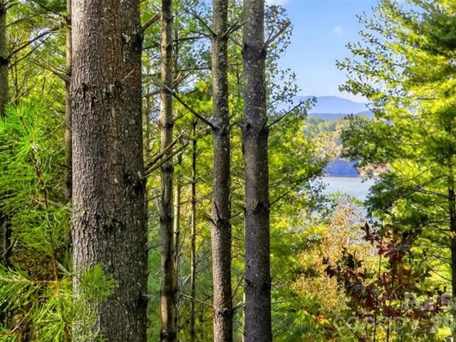 W Point Dr, Nebo, NC 28761