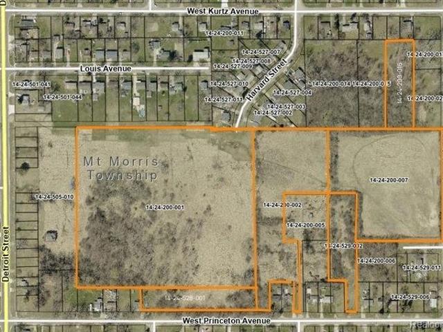 W Princeton Ave, Mount Morris, MI 48505