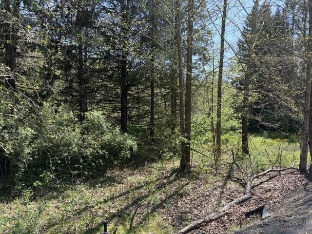 W Rt # 39, Summersville, WV 26651