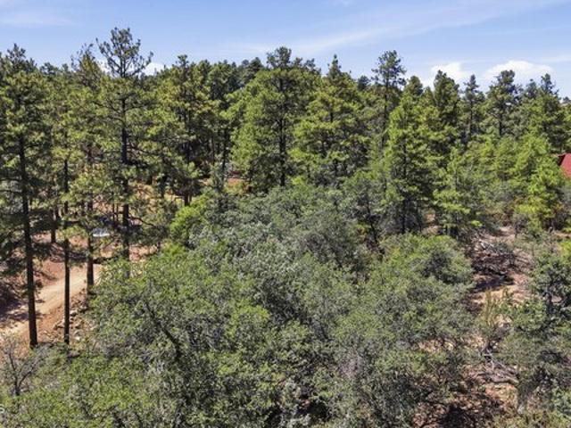 W Rustic Trl, Prescott, AZ 86305
