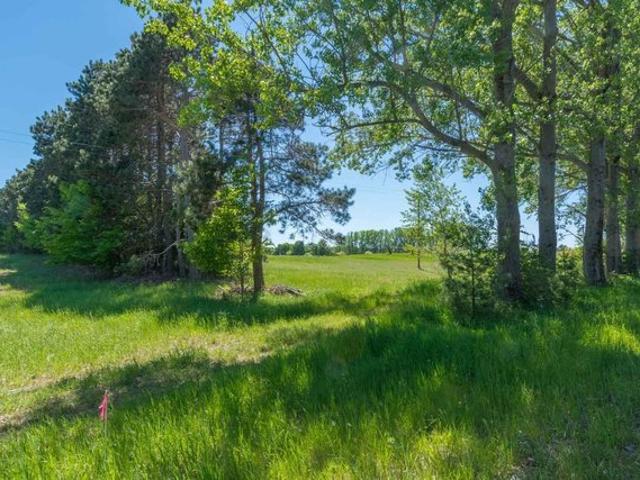 W Ryant Rd, Maple City, MI 49664