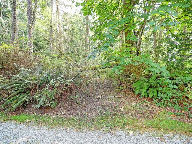 W Rateau Dr, Camano Island, WA 98282 | MLS #2460 | Compass