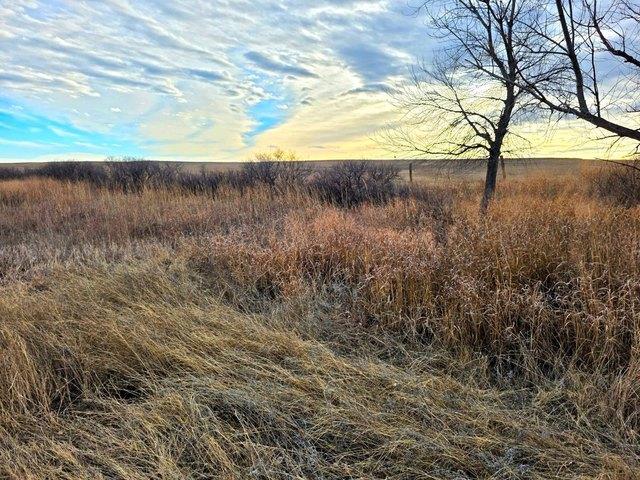 W Rd, Ransom, KS 67572