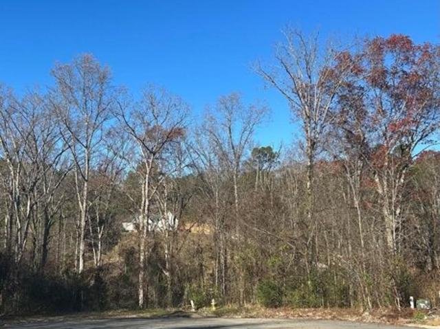 W Ridge Dr, Dalton, Plot For Sale