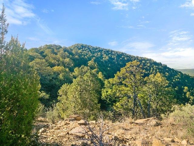 W Ridge Dr Lot 80, Walsenburg, CO 81089