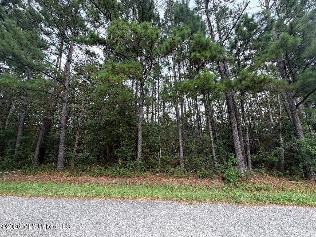 W Ridley Street, Bay Saint Louis, MS 39520