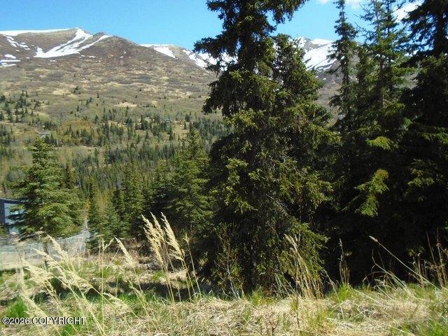 W River Dr Lot 2, Eagle River, AK 99577