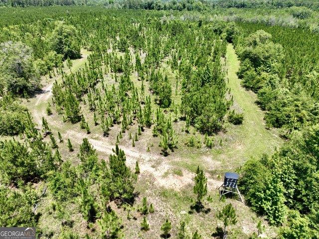 W River Rd, Rhine, GA 31077