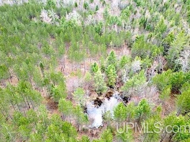 W Round Lake Rd, Wetmore, MI 49878