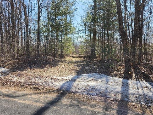 W S Shore Rd Lot 1, Hayward, WI 54843