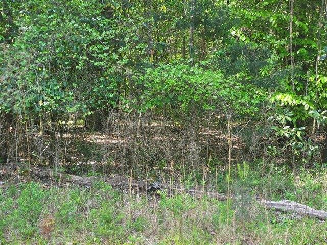 W Sandy, Georgetown, GA 39854