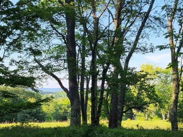 W Shore Rd Lot 135, Bethel, NY 12720