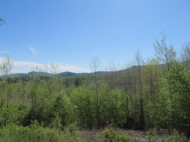 W Side Rd, Carthage, Plot For Sale