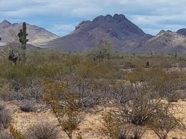 W Smokehouse Trl Units 89 & 90, Wickenburg, AZ 85390