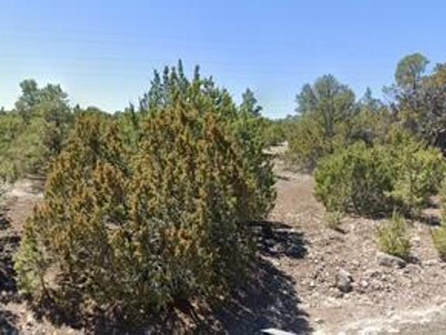 W Snowline Dr, Eagar, AZ 85925 | MLS #6894 | Compass