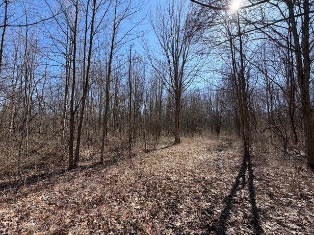 W Somerset Rd S, Barker, NY 14012