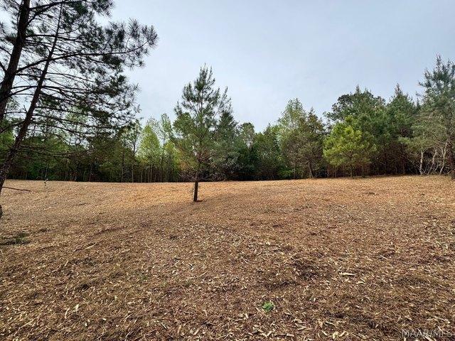 W Sprague Junction Rd, Ramer, AL 36043