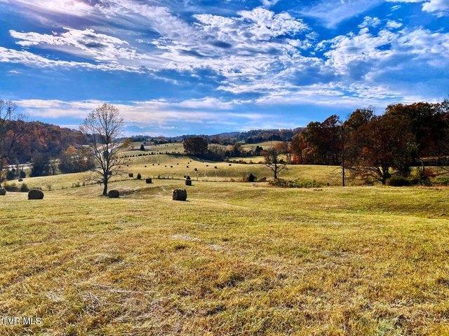W Sr 1 Highway, Surgoinsville, TN 37873