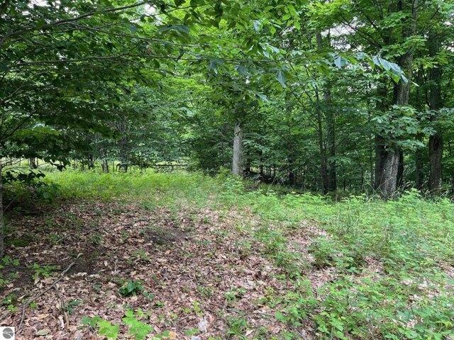 W Timber View Trl Lot,empire, Plot For Sale