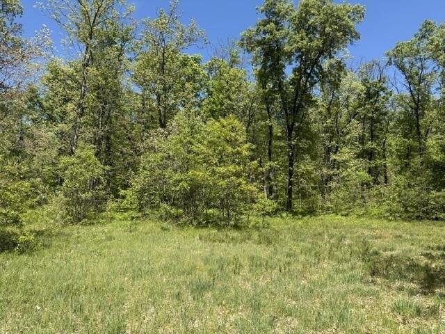 W Usfs 5196 Parcel B, Baldwin, MI 49304