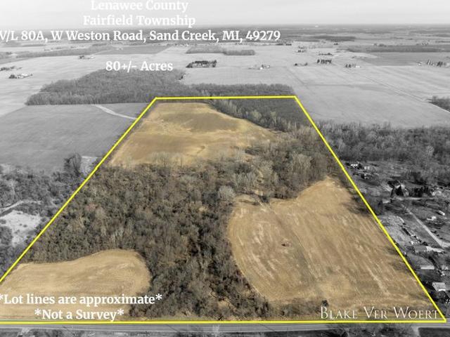 W Weston Rd, Sand Creek, MI 49279