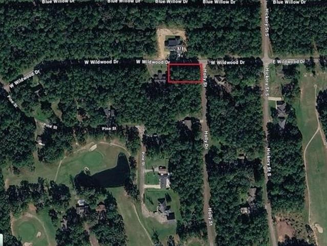 W Wildwood Dr, Village Mills, TX 77663