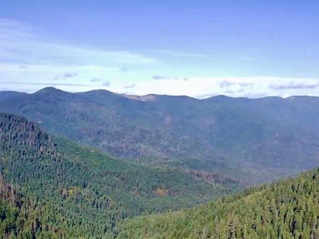 W Williams Creek Rd, Williams, OR 97544