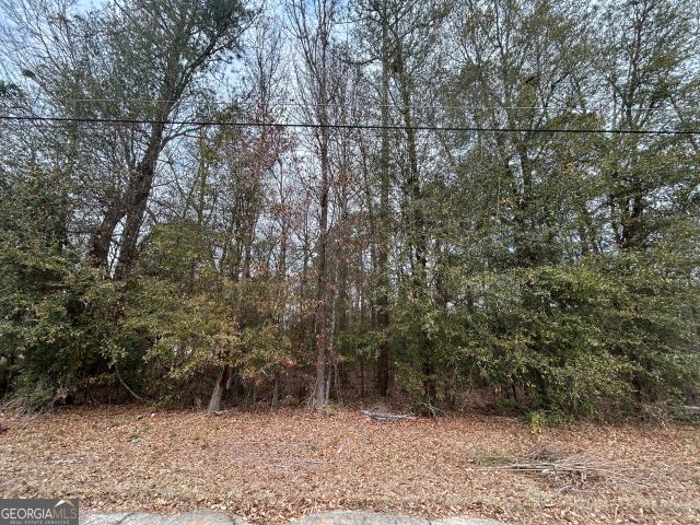 W Williams St, Montezuma, GA 31063 | MLS #10694 | Compass