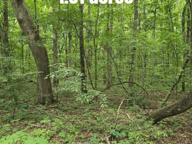 W Wind Way Lot 3, Crossville, TN 38572