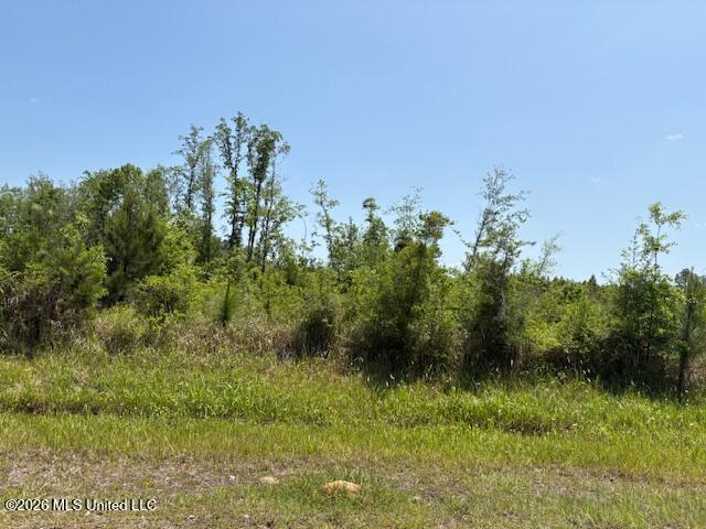 W Wire Road, Vancleave, MS 39565