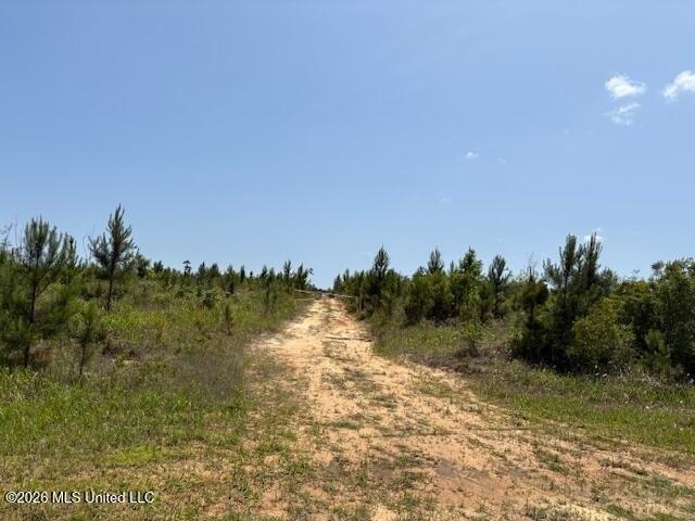 W Wire Rd, Vancleave, MS 39565
