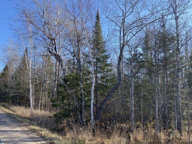 W 16th Ave Ste Marie, Sault Sainte Marie, MI 49783