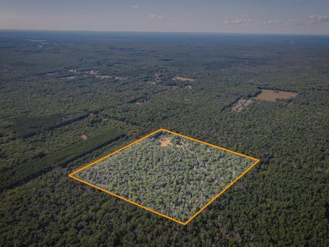 W 10 Mile Rd, Irons, MI 49644